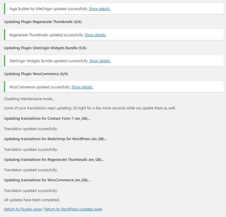 How to Update WordPress the Right Way - WPkind