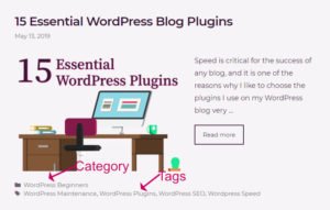 Categories VS Tags In WordPress And How To Use Them Properly - WPkind