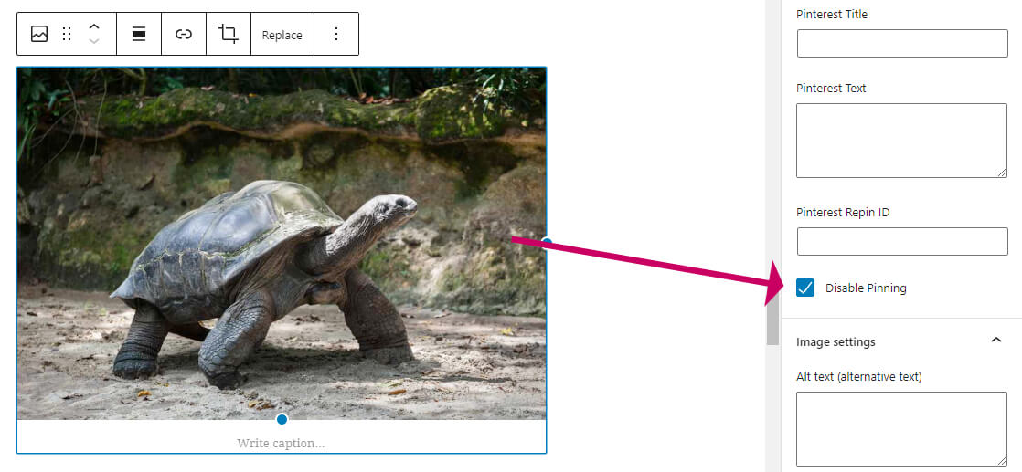 Tasty Pins Review And Tutorial - WPkind